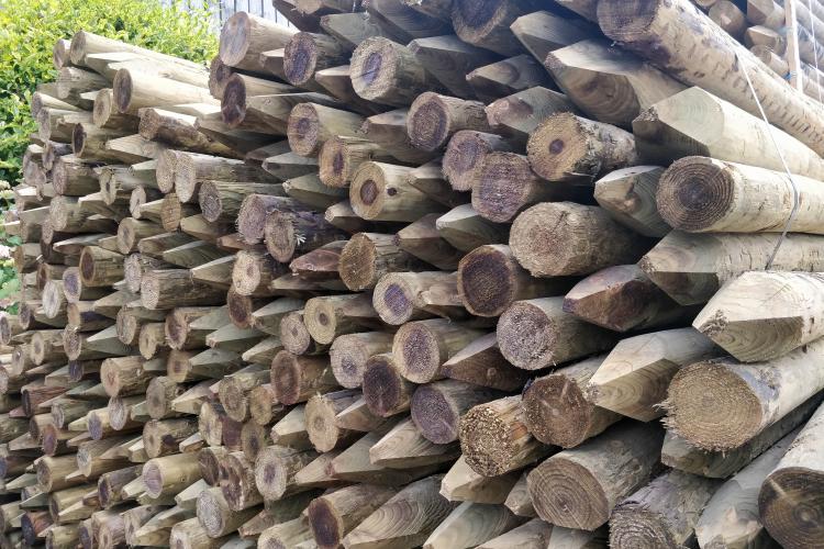 Cundy Peeled Posts | Hartlington Fencing Supplies | Yorkshire ...
